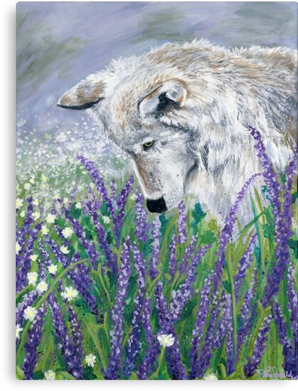 "Lavender Wolf" Canvas Print by tinaschofield | Redbubble