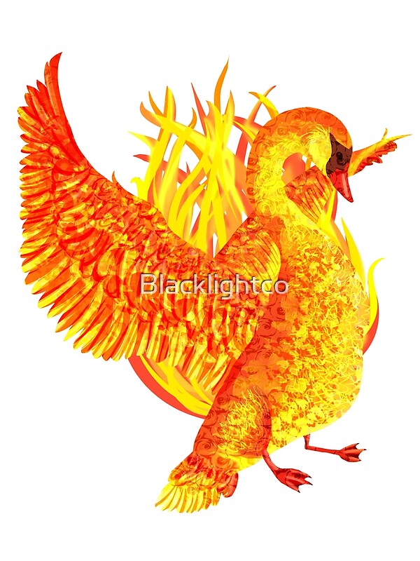 "Flaming Swan Phoenix" by Blacklightco | Redbubble