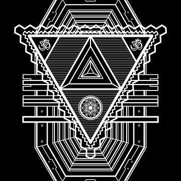 "Tesla Portal" Poster for Sale by RAFAROMAN | Redbubble