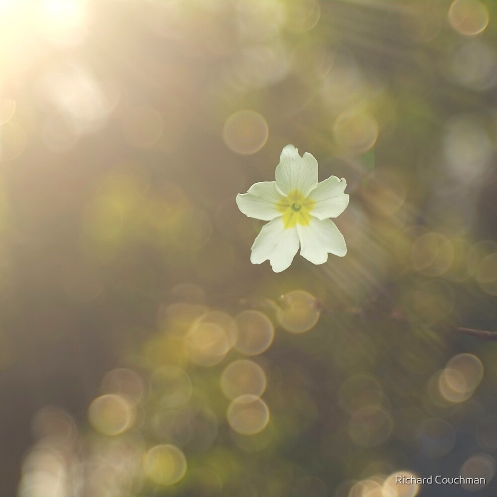 "" Wistful Sundays "" by Richard Couchman | Redbubble