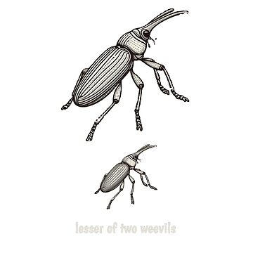 "lesser of two weevils" Essential T-Shirt for Sale by fluffymackeral ...