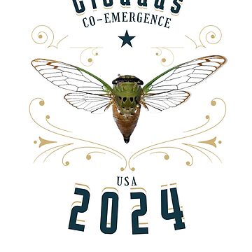 "Cicadas Co-Emergence USA 2024 Rare Brood XIII & Brood XIX" Sticker for ...
