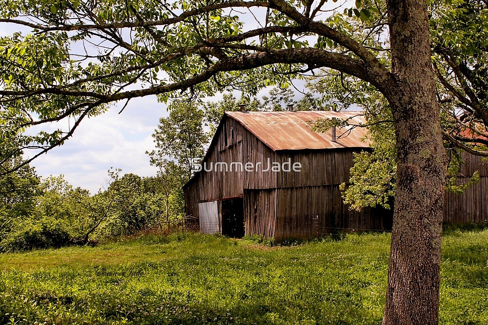 "Another Spring ~ the Old Barn Still Stands" by SummerJade | Redbubble