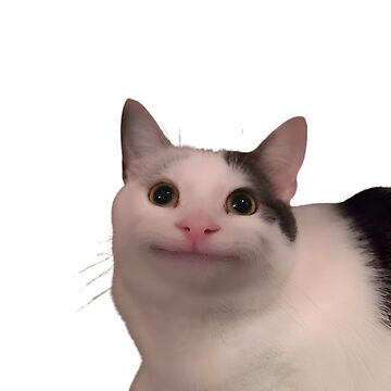 "Real Beluga Meme Cat" Sticker for Sale by Day Dreamer | Redbubble