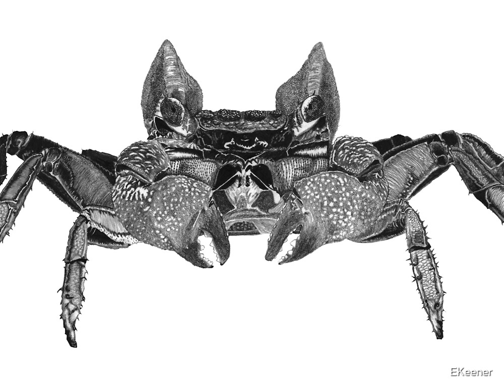 "Combinations #5: Crab/Bat" by EKeener | Redbubble