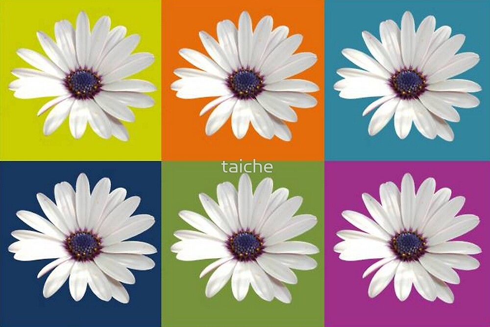 "White African Daisy Collage On Bright Background" by taiche | Redbubble
