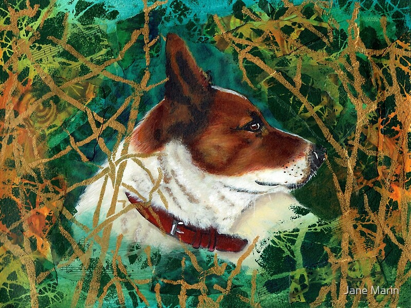 "Kimba - Cattle Dog" by JaanemanArt | Redbubble