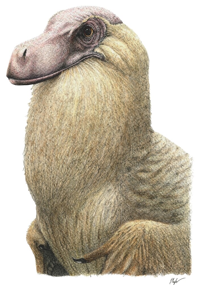 "Tsaagan" by JedTaylor | Redbubble