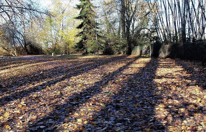 "Fall Shadows" by Lesliebc | Redbubble