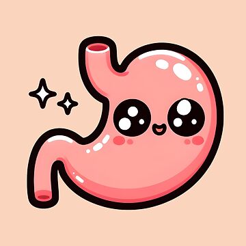 "Kawaii Stomach Adorably Cute Human Organ Anatomy and Physiology ...