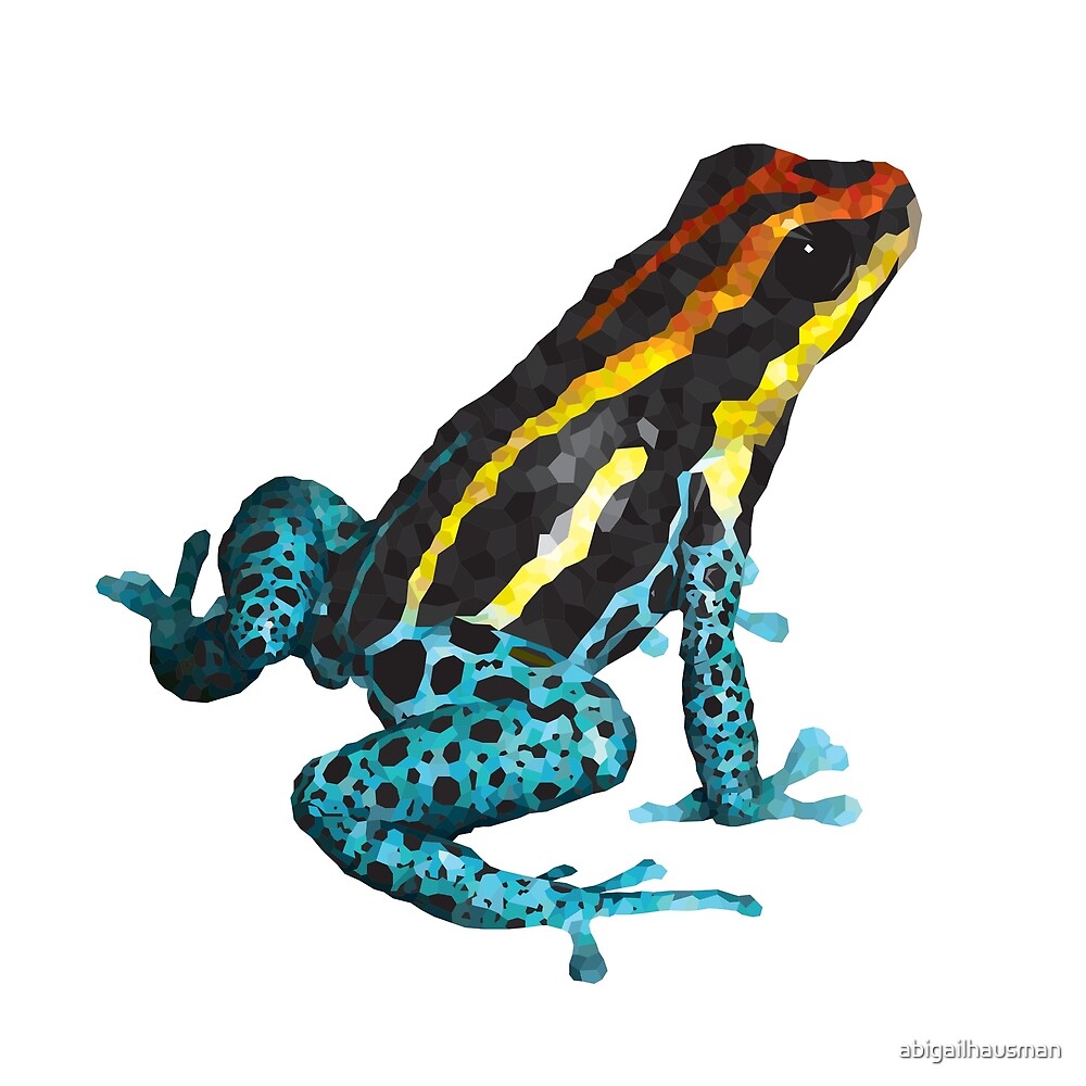 "Frog Geometric Illustration" by abigailhausman | Redbubble