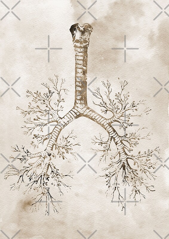 "Bronchial tree" by erzebetth | Redbubble