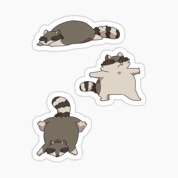 Raccoon Stickers | Redbubble