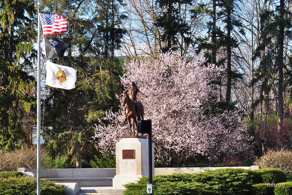 "Chief Munsee Statue in the Spring" by mltrue | Redbubble