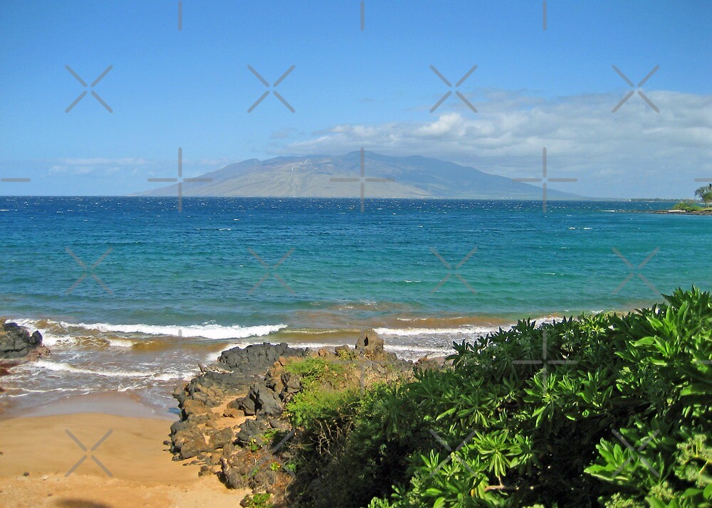 "Beautiful Beach Horizon in Maui, Hawaii" by elishamarie28 | Redbubble