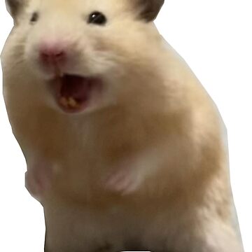 "Hamster meme" Sticker for Sale by vectcd | Redbubble