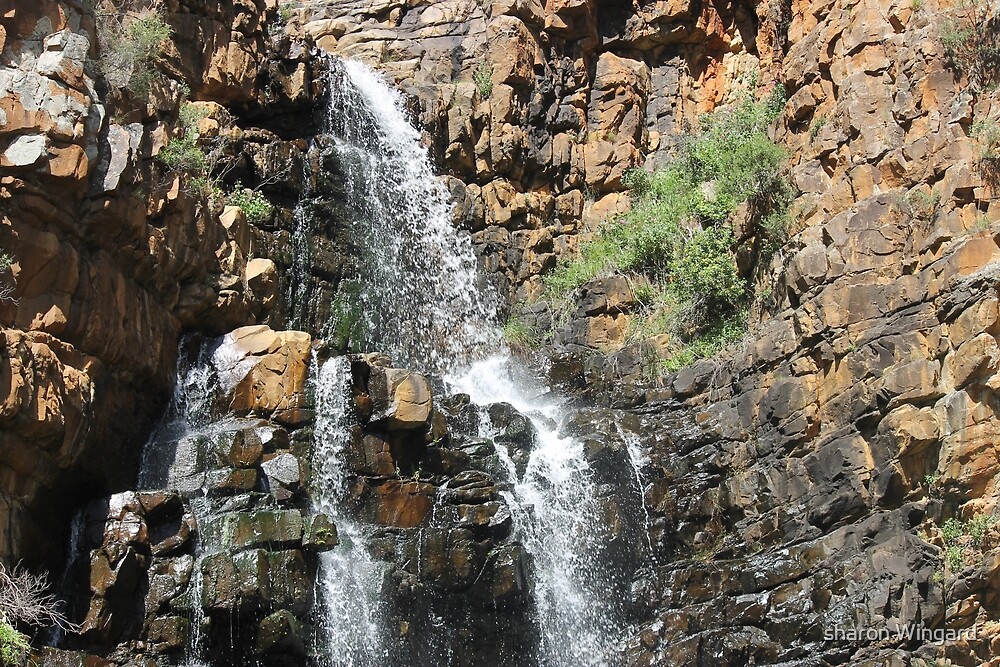 "Morialta Falls" by sharon Wingard | Redbubble
