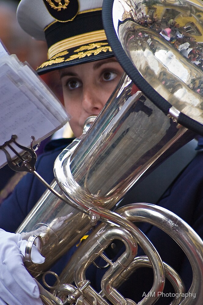 "Horn Section" by AJM Photography | Redbubble