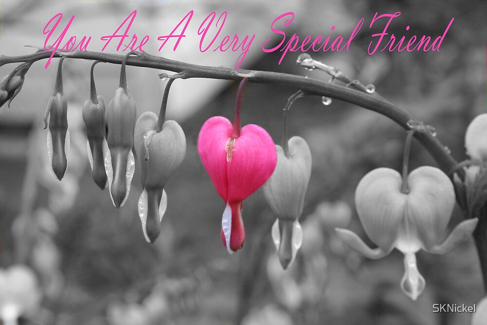 "You Are a Special Friend Card" by SKNickel | Redbubble