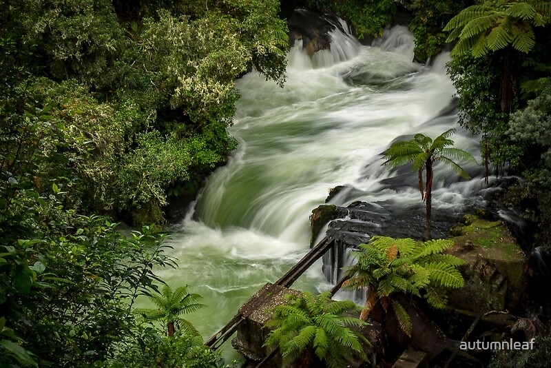 "Silky water and Waterfalls" by autumnleaf | Redbubble