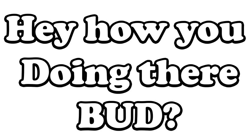 "Hey how you Doing there Bud?" by Tall Samurai | Redbubble