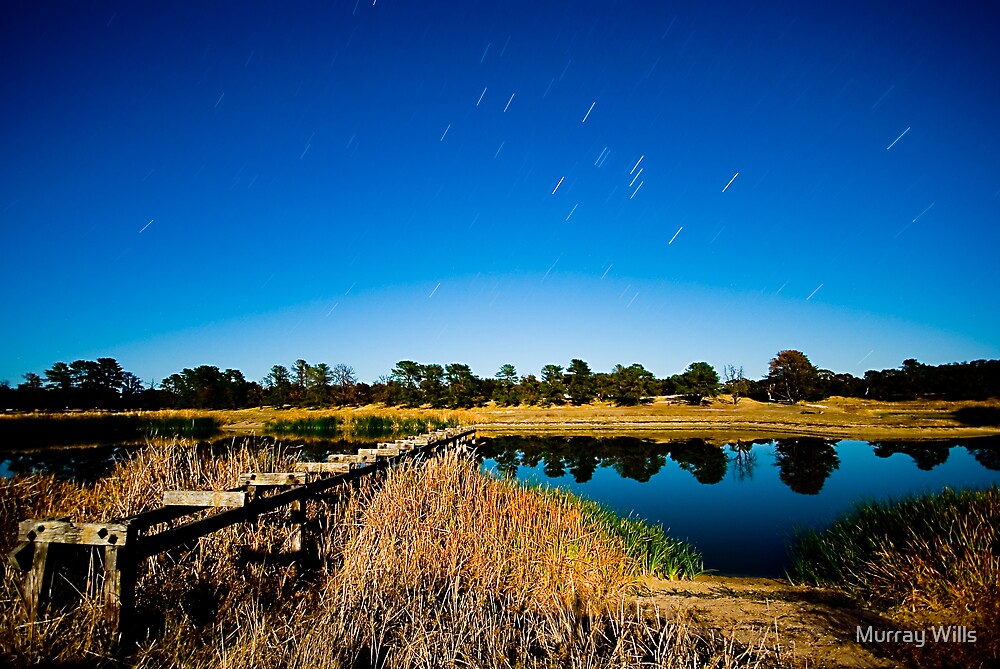"Serviceton Reservoir by Moonlight" by Murray Wills | Redbubble