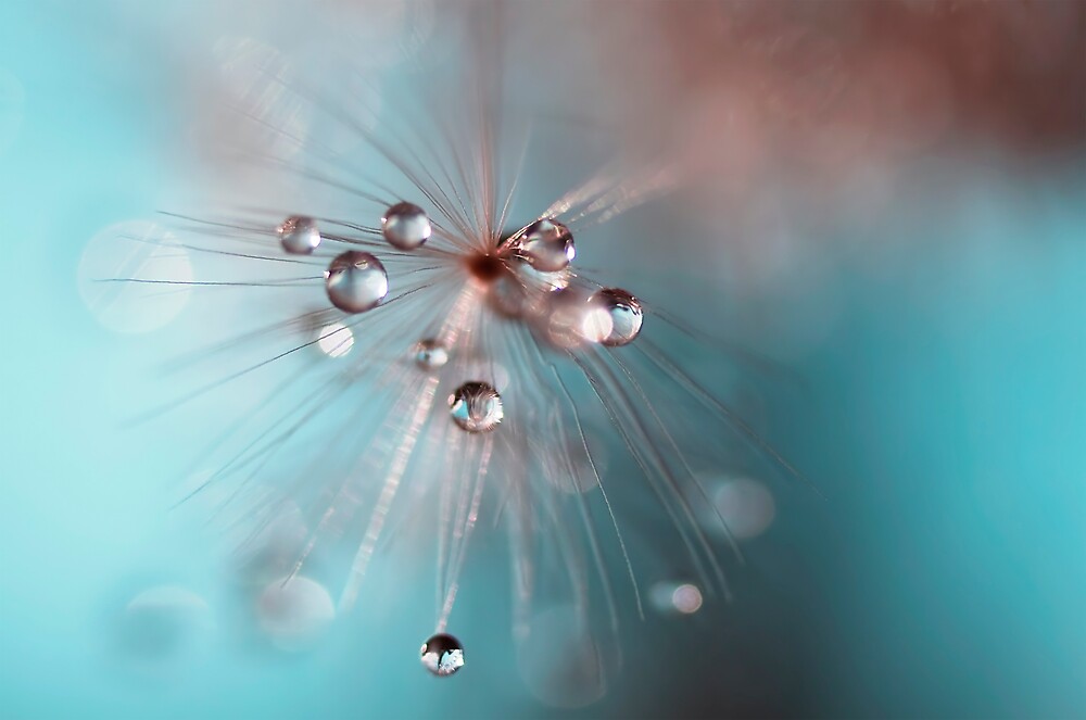 "Subtle Colour" by Jenni77 | Redbubble