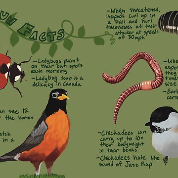 "Fun Facts" Sticker for Sale by buggguy | Redbubble