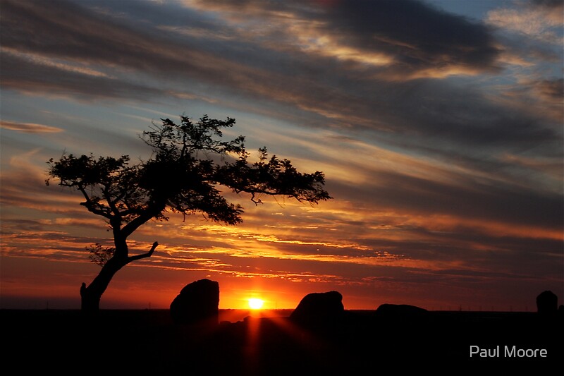 "Dog Rocks Sunset - Geelong" by Paul Moore | Redbubble