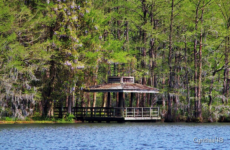 "A Spot To View Natural Beauty" by Cynthia48 | Redbubble