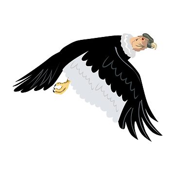 "Andean Condor in Flight Retro" Sticker for Sale by retrovectors ...