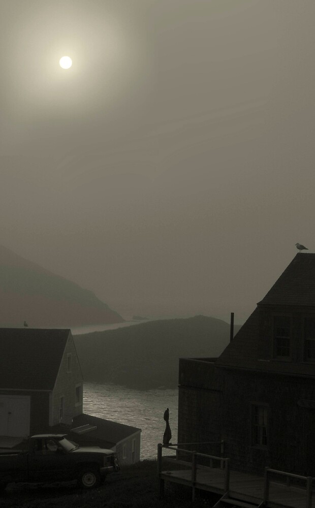 "Sun and fog Monhegan Island Maine" by Dave Higgins | Redbubble