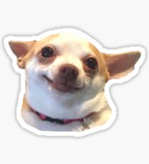 Dog Meme Stickers | Redbubble