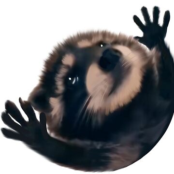 Pegatina for Sale con la obra «Pedro Pedro mapache gracioso Meme» de ...