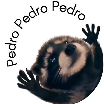 "Pedro raccoon funny viral video Meme " Sticker for Sale by DariaMiller ...