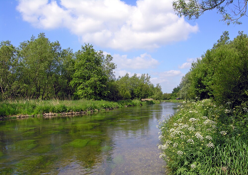 "The River Itchen in summer at Martyr Worthy, Hampshire, southern ...