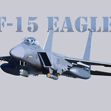 "F-15 Eagle" Poster by Sibo Miller | Redbubble