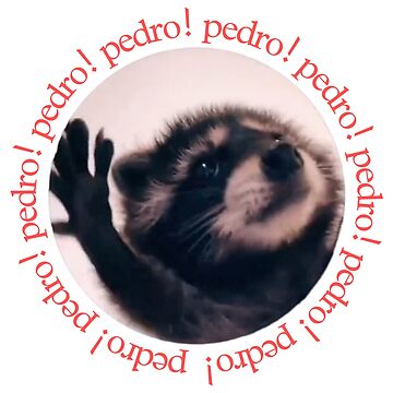 "Pedro raccoon viral raccoon dance pedro pedro rafaella carra" Sticker ...