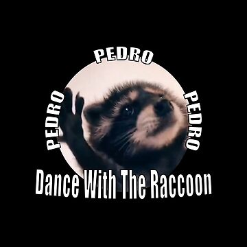 "Dancing Raccoon Pedro Pedro Pedro meme " Sticker for Sale by Riv0x ...