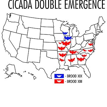 "Cicada Insect Double Brood Emergence, Cicadas bug Map 2024" Sticker ...