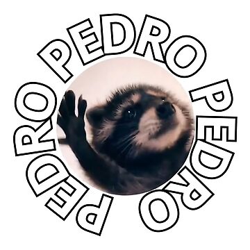 "Pedro raccoon, Pedro Pedro Pedro, Viral, Memes" Sticker for Sale by ...