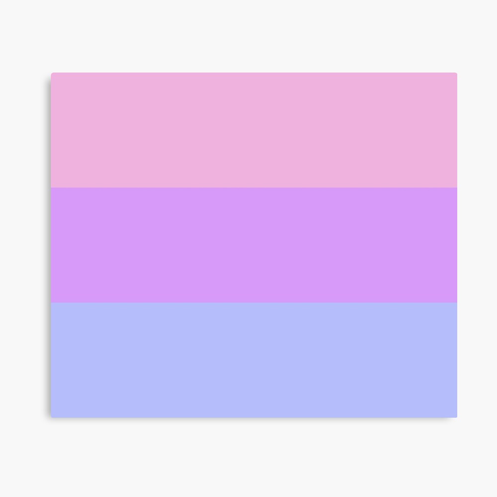 Pastel Bisexual Flag Canvas Print By Fuinur Redbubble