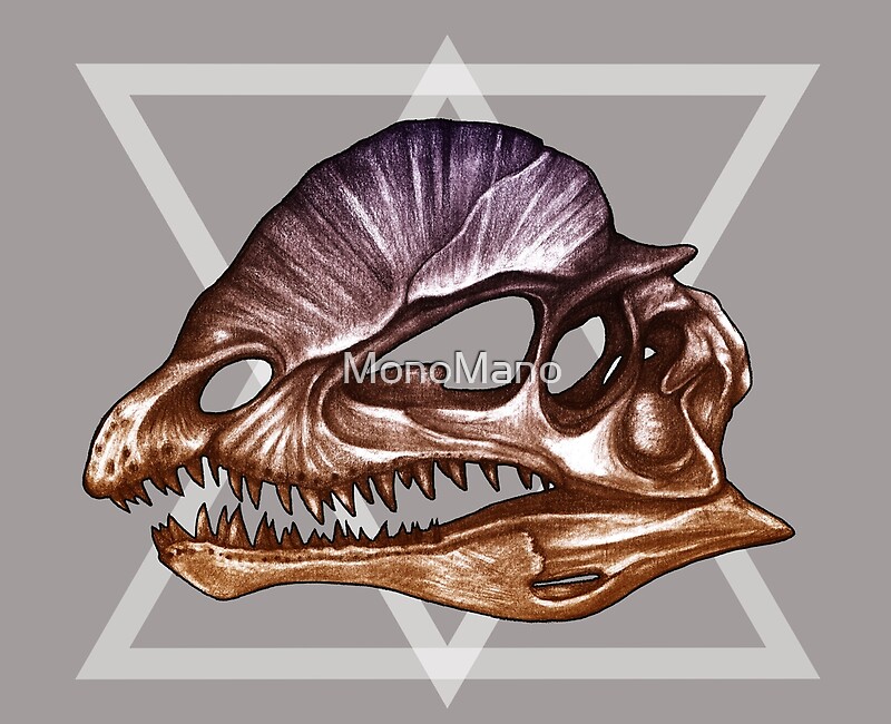 "Dilophosaurus - Dinosaur Skulls" by MonoMano | Redbubble