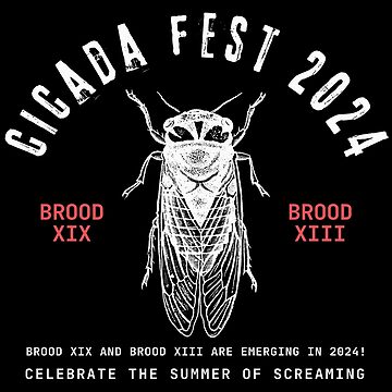 "Cicada Fest 2024 Brood XIX and XIII Emergence Celebrate The Summer of ...