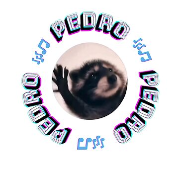 "Pedro Pedro Pedro Pedro Pe The EDM Dancing Raccoon Meme" Sticker for ...