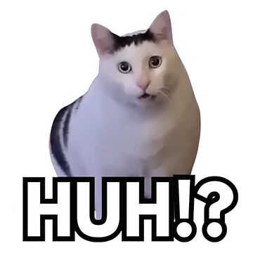 "Huh Cat" Essential T-Shirt for Sale by kenoroyi | Redbubble