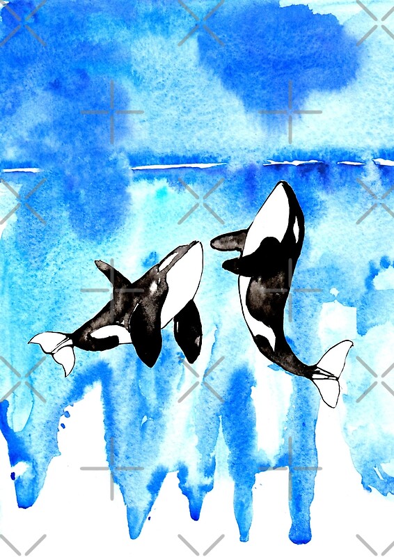 "Orca, watercolor Orca" by Rosaliartbook | Redbubble