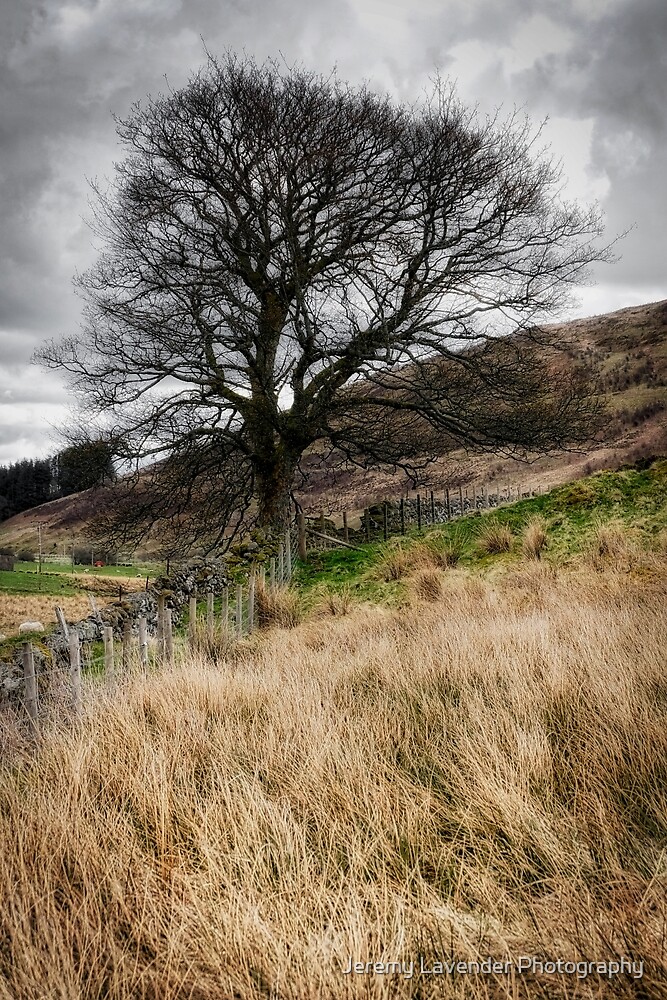 "Moody scenery in Central Scotland" by Jeremy Lavender Photography ...