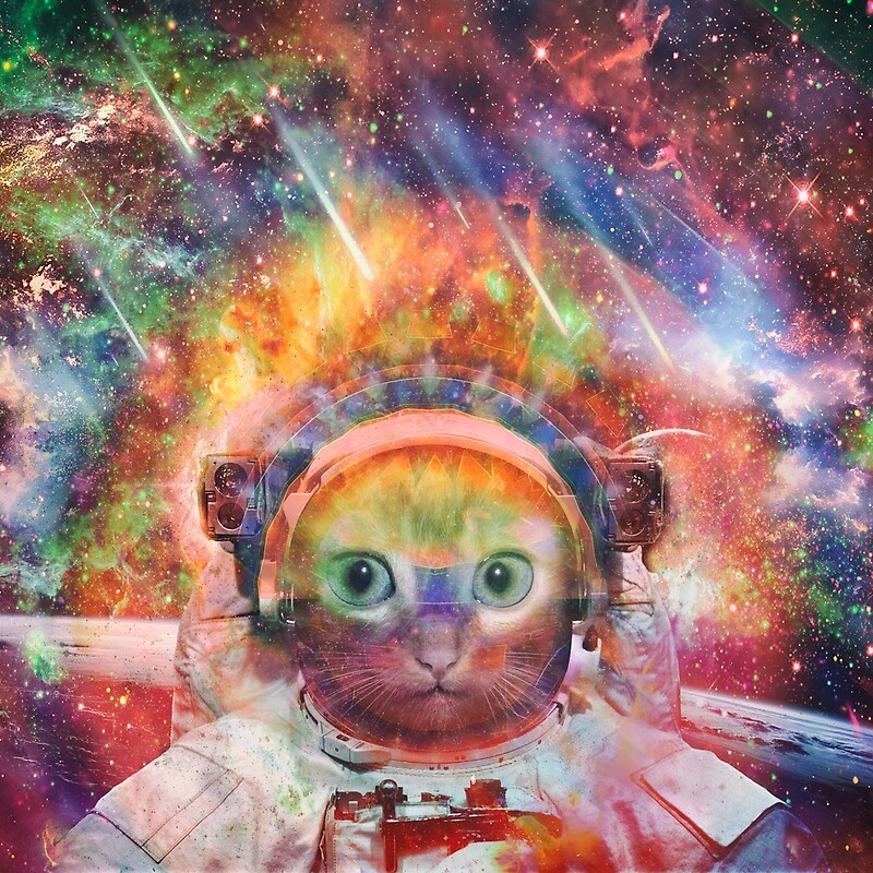 "Catstronaut" by Joey Di Nardo | Redbubble