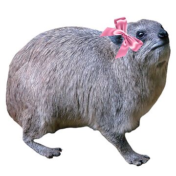 "Rock hyrax wearing bow " Sticker for Sale by SillyLittleSnek | Redbubble